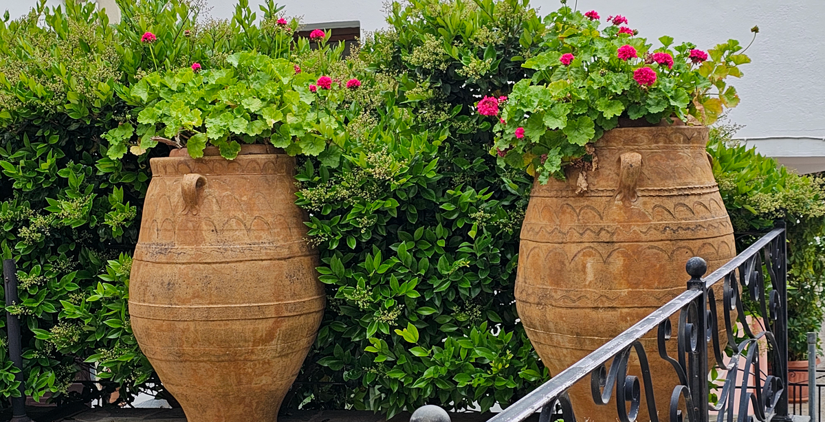 Manolis Terracotta pot