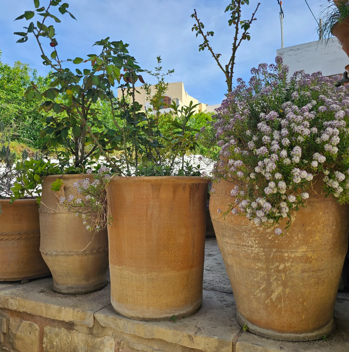 Lekanida cretan Terracotta pot